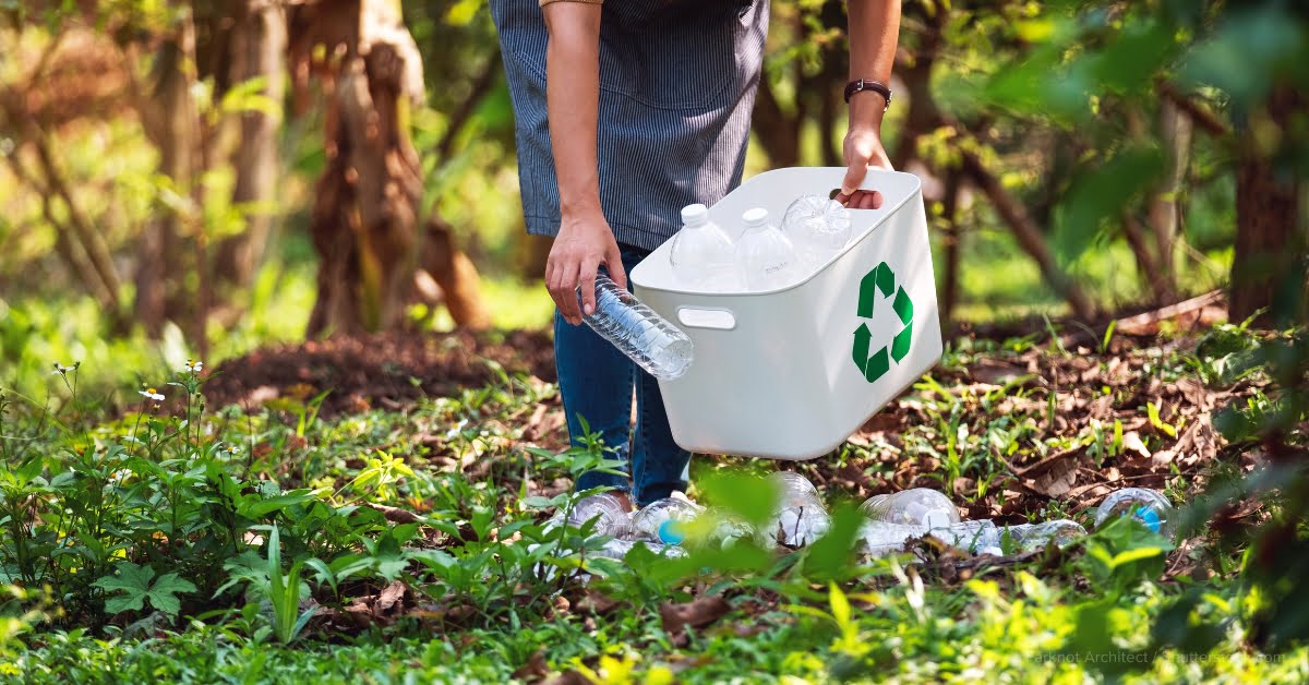 The Economics of Eco-Friendly Packaging, Explained